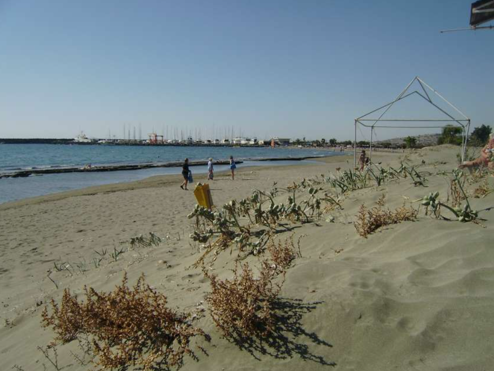 Πύργος: Το παραθαλάσσιο χωριό της Λεμεσού με τις κρυμμένες ομορφιές του ...